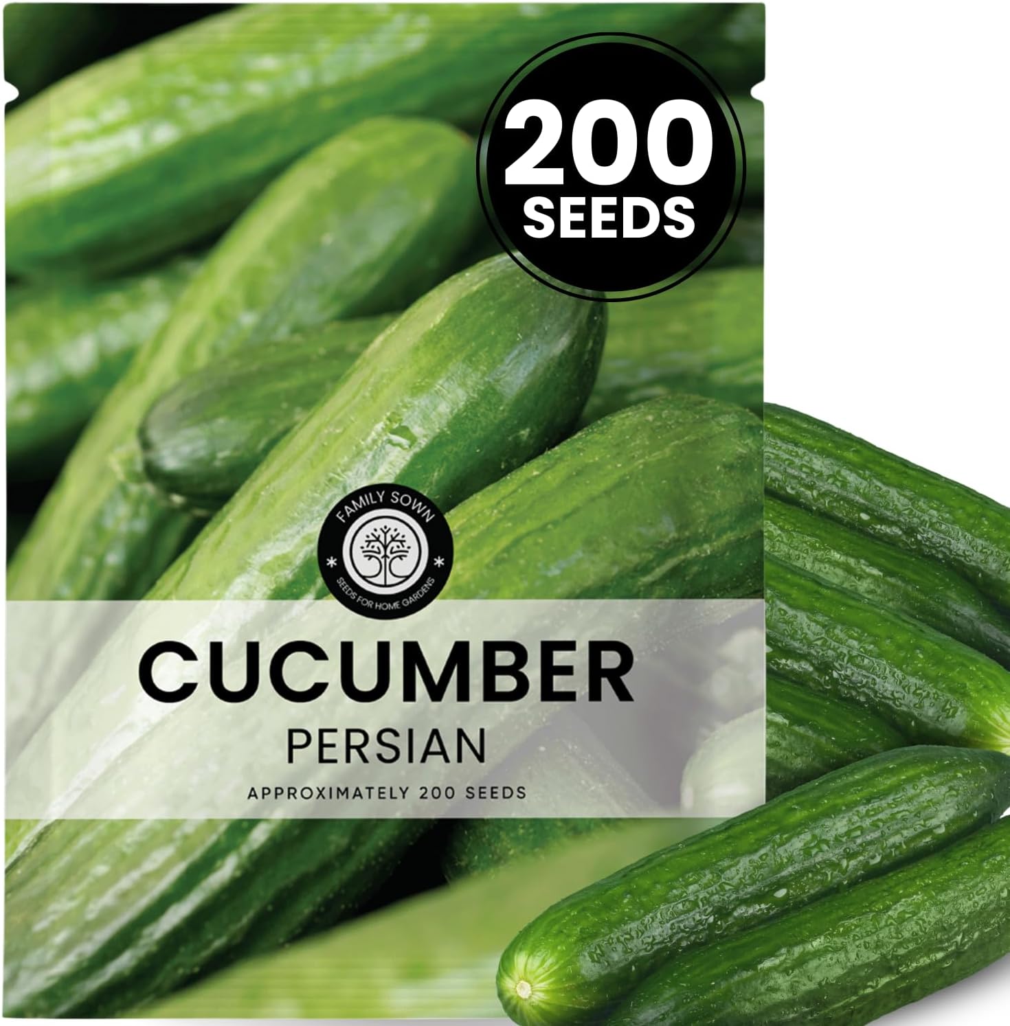 Persian Cucumber – Family Sown