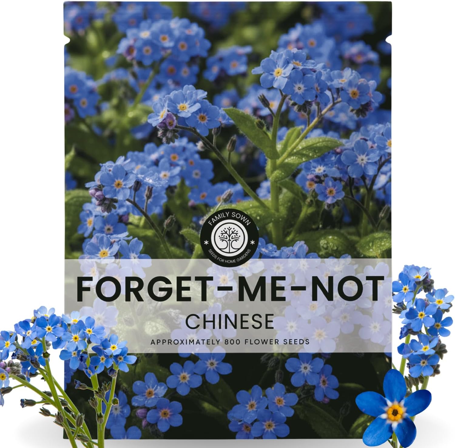 Chinese Forget Me Not – Family Sown