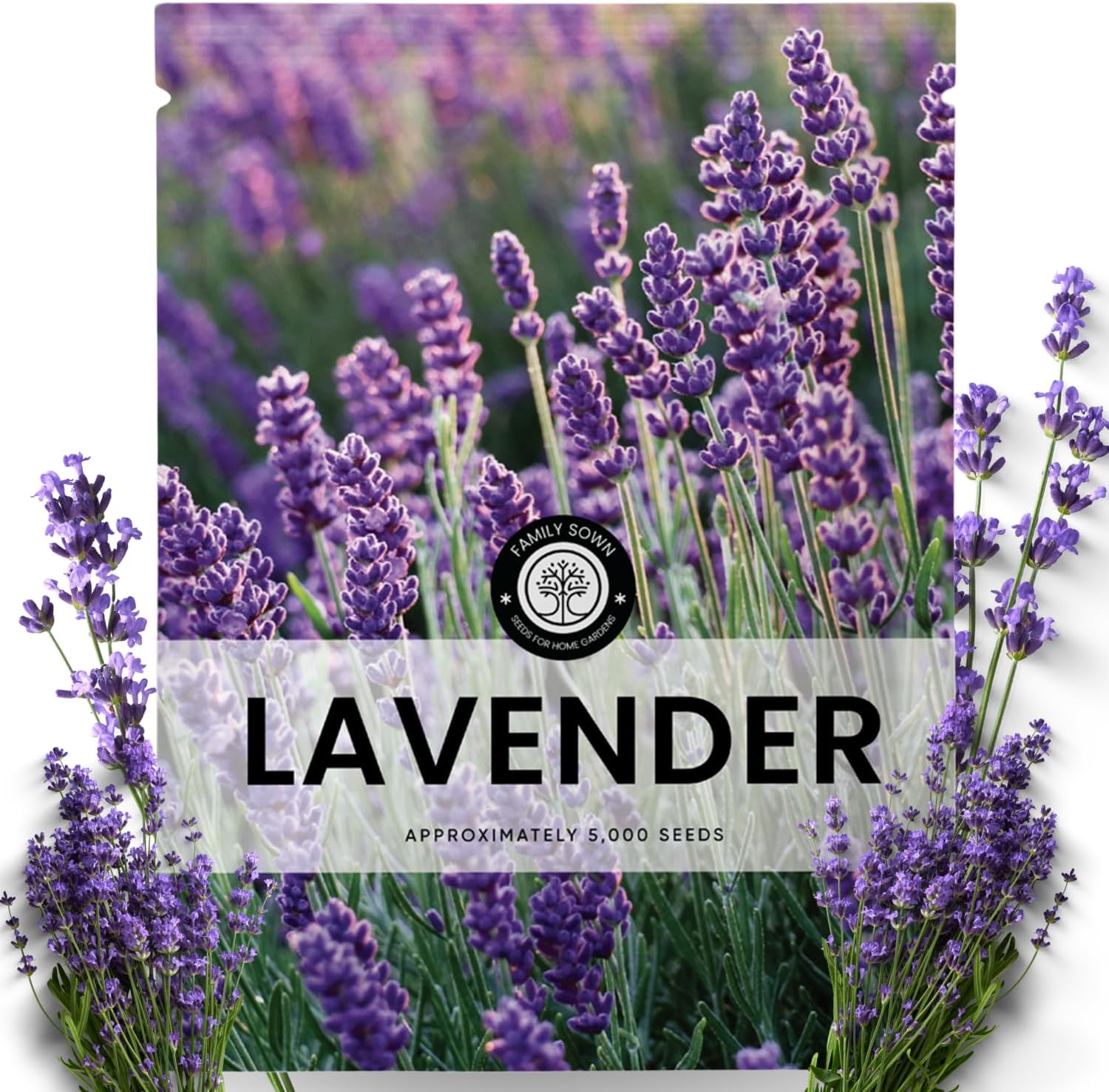 Lavender – Family Sown